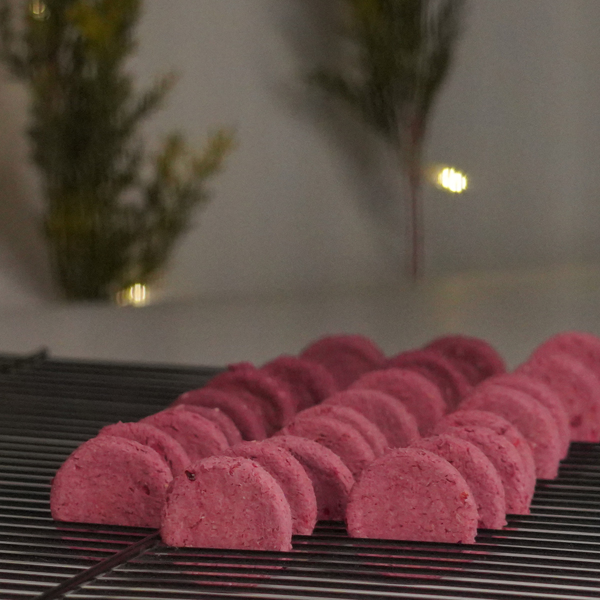 Jingle bells cookies - Jouw Konijn